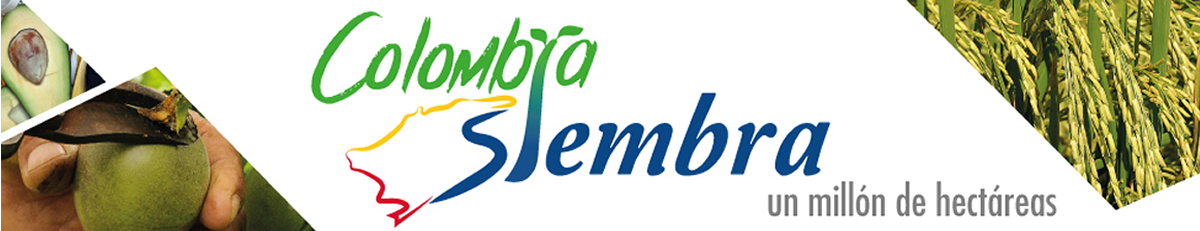 Página Principal Inicio