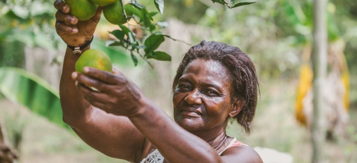 Mujeres rurales, a registrarse en MinAgricultura